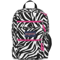 Big Student Classics Series Daypack ~ Awesome Ideas