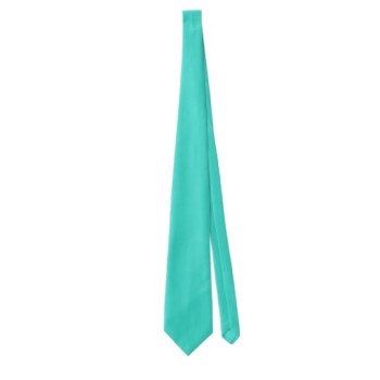 Solid Turquoise Blue Tie | Zazzle ~ Awesome Ideas